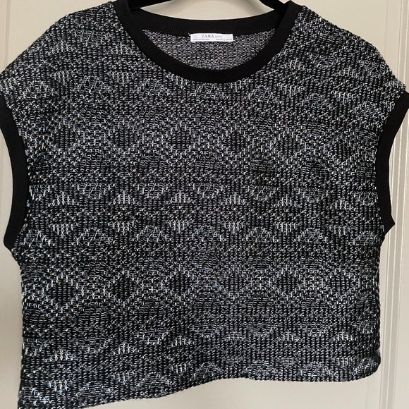 Zara | Tops | Zara Basic Metallic Top | Poshmark